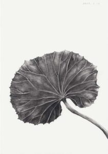 7days scene 神崎奈津子_02 - うちまちだんち