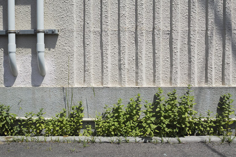 7days scene 牧野和馬_05 - うちまちだんち