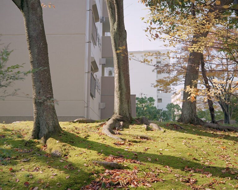 7days scene 小檜山貴裕_07 - うちまちだんち