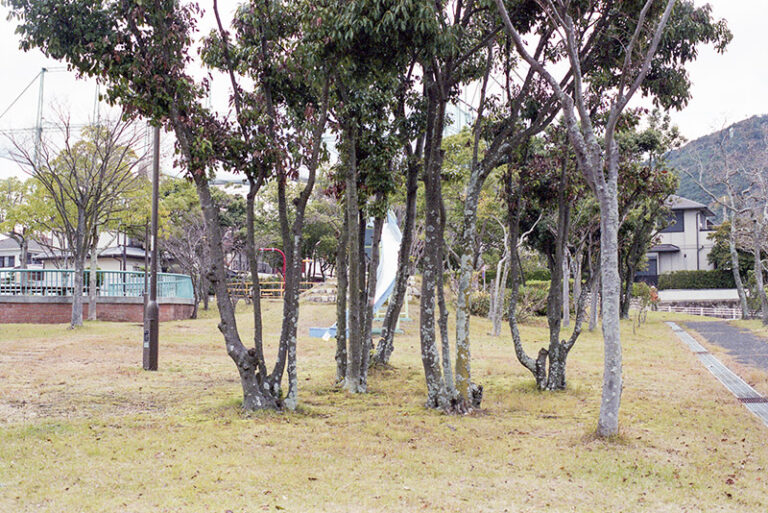 7days scene 松見拓也_04 - うちまちだんち