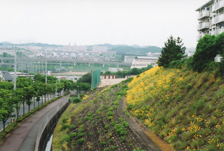 7days scene 加納千尋_05 - うちまちだんち